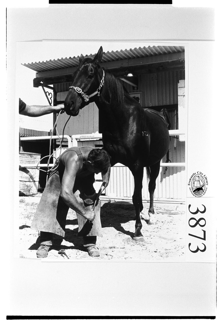 Freo Princess | City of Fremantle Local History Centre